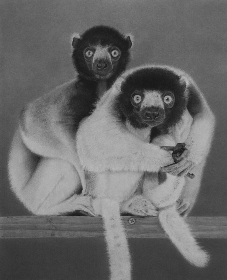 Emma Towers-Evans: Hyperreal Graphite - Jackson's Art Blog