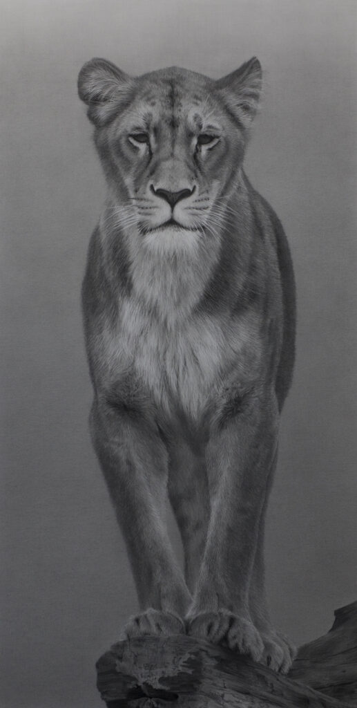 Emma Towers-Evans: Hyperreal Graphite - Jackson's Art Blog