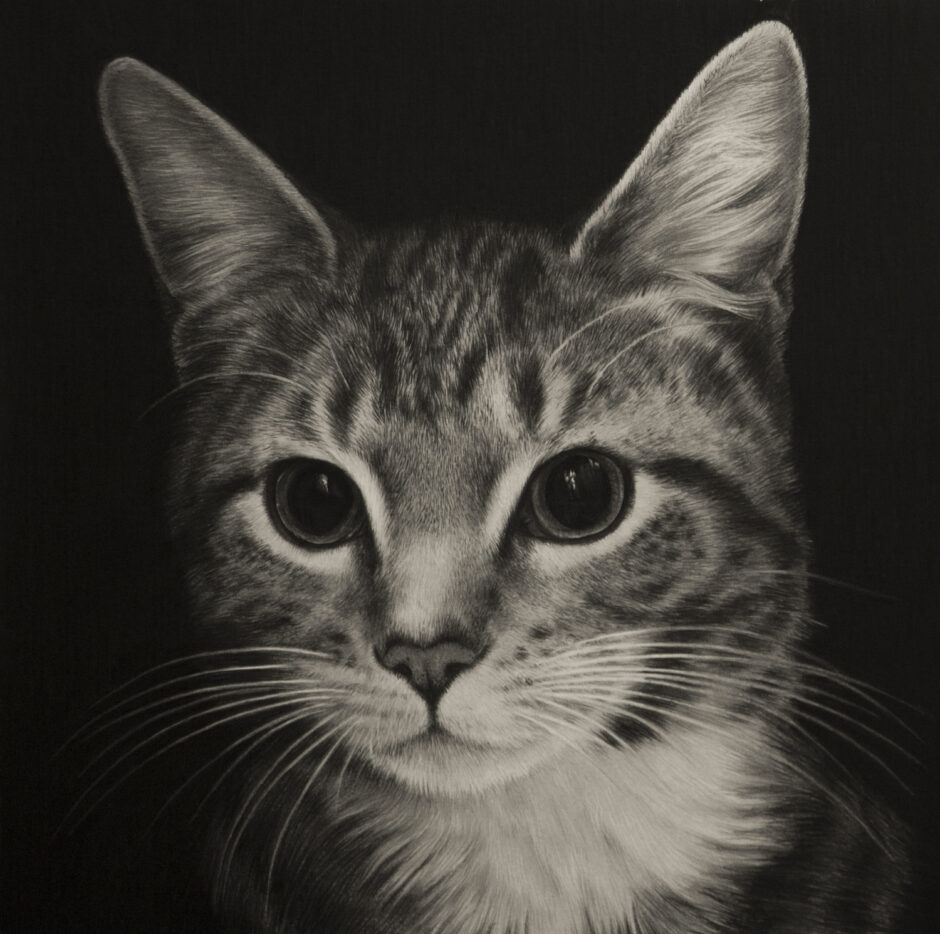 Emma Towers-Evans: Hyperreal Graphite - Jackson's Art Blog