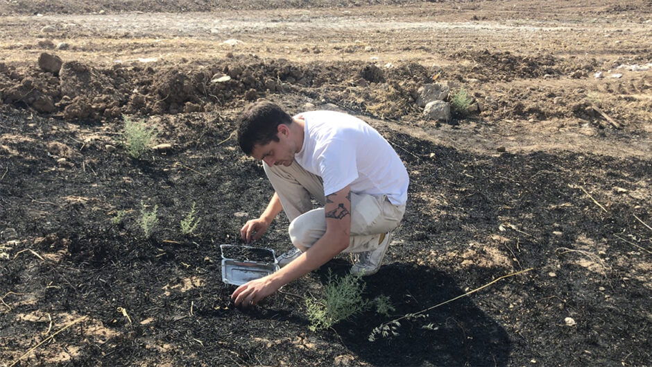 Migrate Art: Scorched Earth Project - Jackson's Art Blog