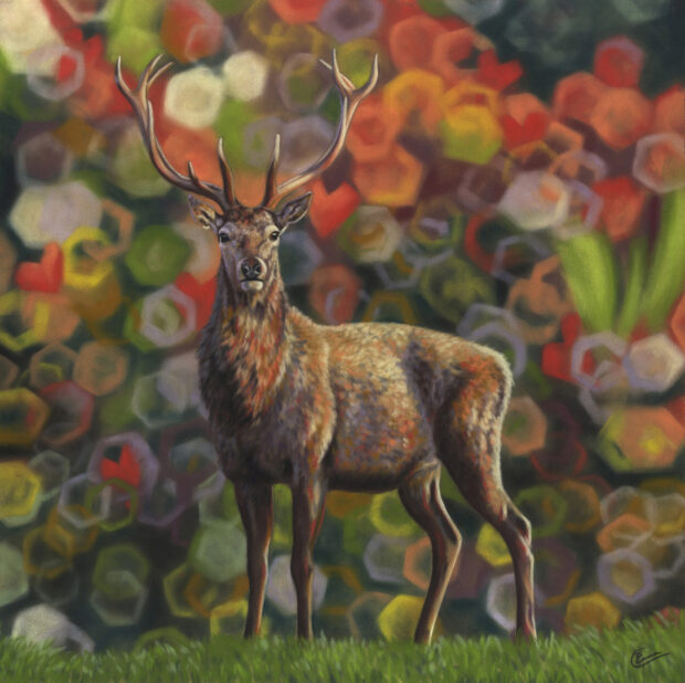 Emma Colbert: Soft Pastel Colour and Technique - Jackson's Art Blog