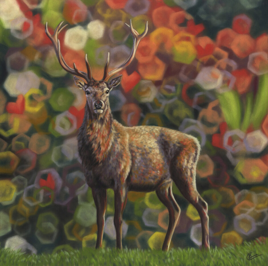 Emma Colbert: Soft Pastel Colour and Technique - Jackson's Art Blog