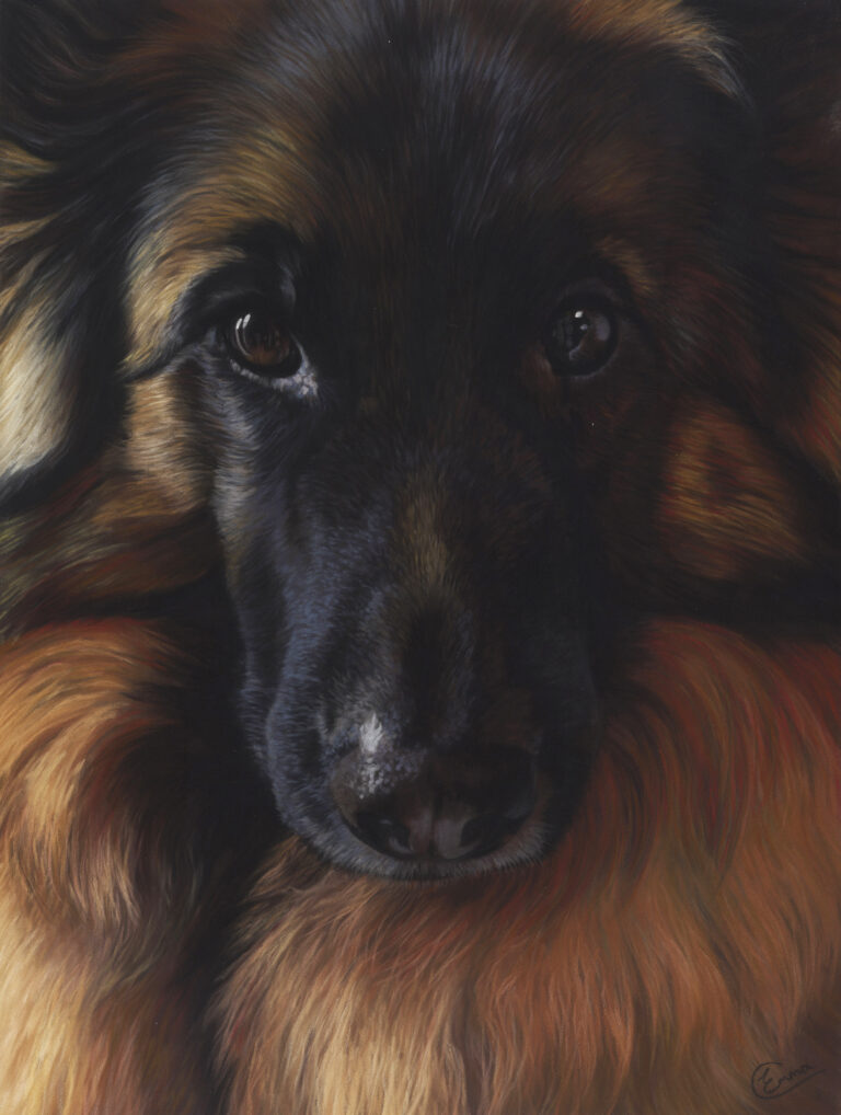 Emma Colbert: Soft Pastel Colour and Technique - Jackson's Art Blog