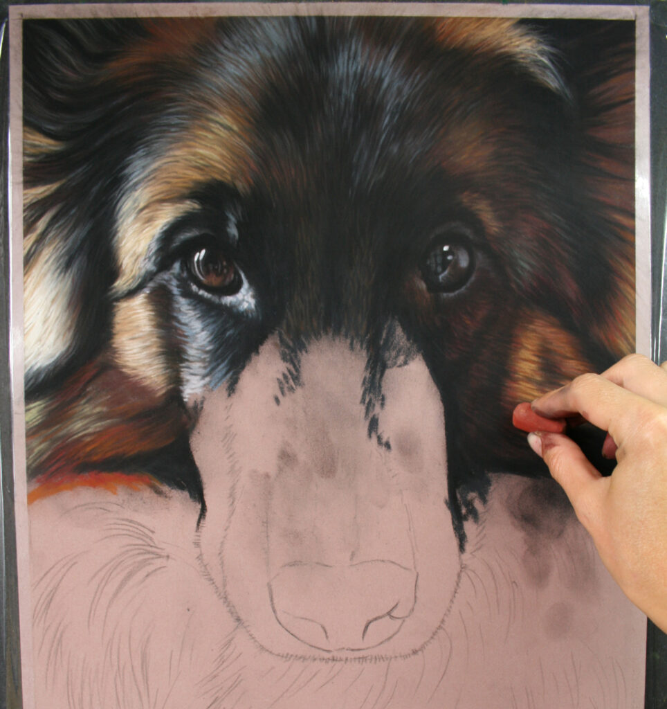 Emma Colbert: Soft Pastel Colour and Technique - Jackson's Art Blog