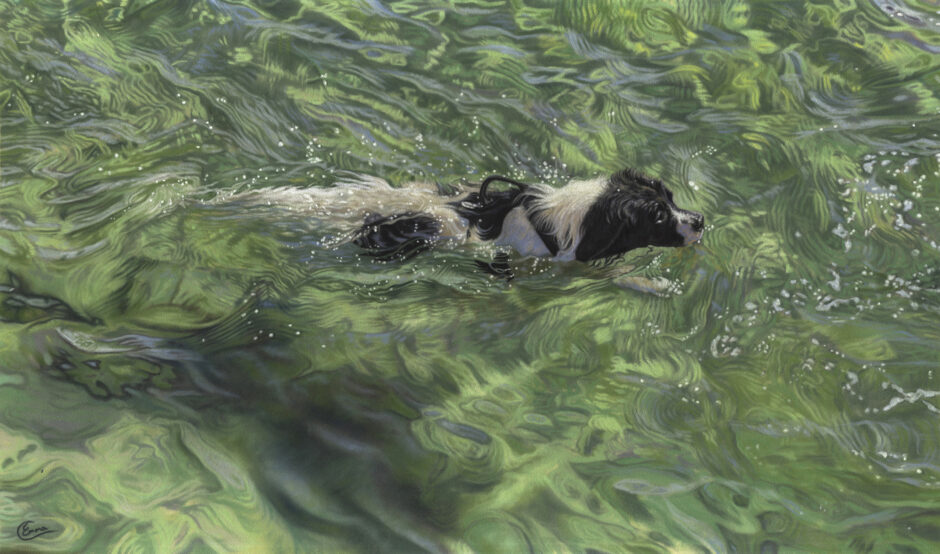 Emma Colbert: Soft Pastel Colour and Technique - Jackson's Art Blog