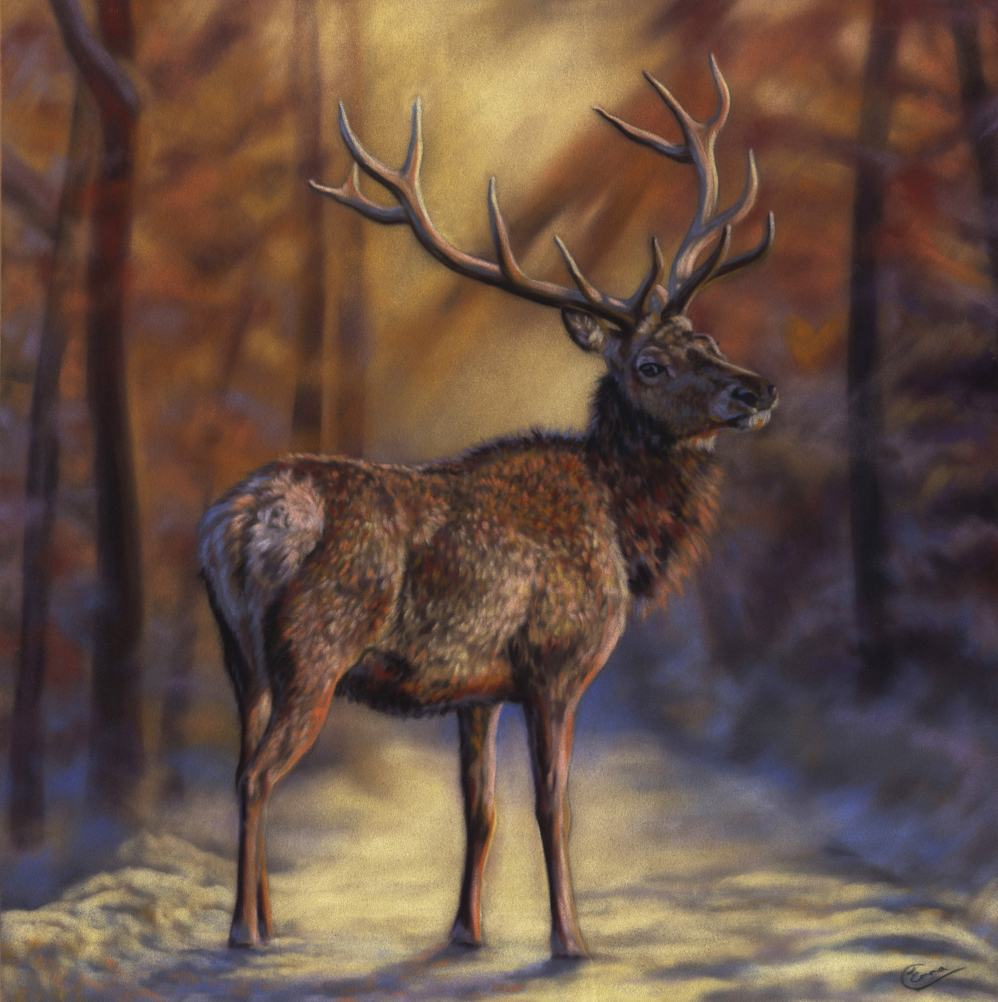 Emma Colbert: Soft Pastel Colour and Technique - Jackson's Art Blog