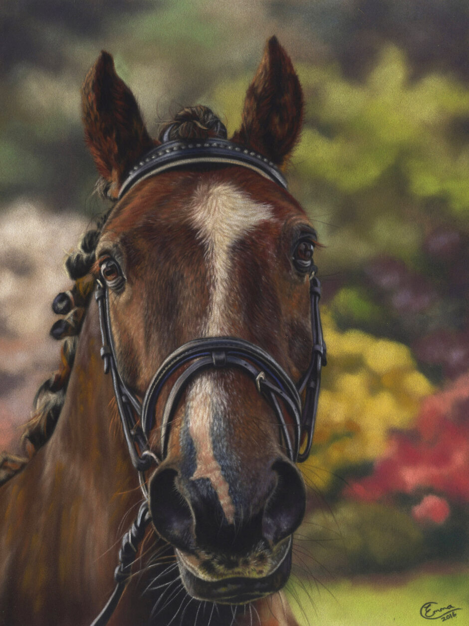 Emma Colbert: Soft Pastel Colour and Technique - Jackson's Art Blog