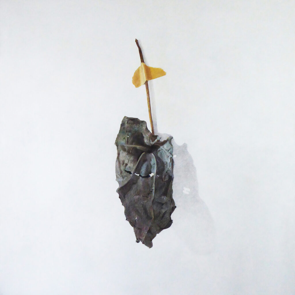 Jean Paul Beumer: Live the Process - Jackson's Art Blog