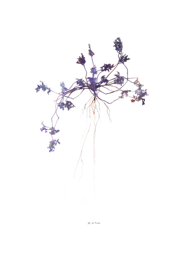 Jean Paul Beumer: Live the Process - Jackson's Art Blog