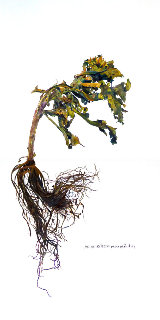 Jean Paul Beumer: Live the Process - Jackson's Art Blog