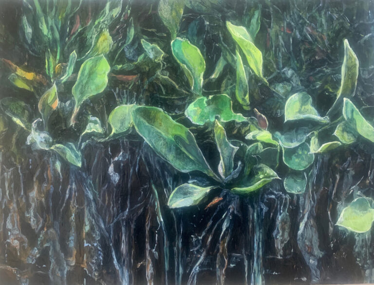 Judith Tucker: Uncanny Transformations - Jackson's Art Blog