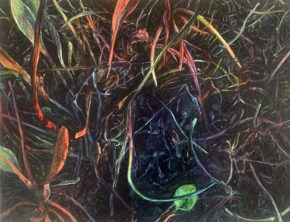 Judith Tucker: Uncanny Transformations - Jackson's Art Blog