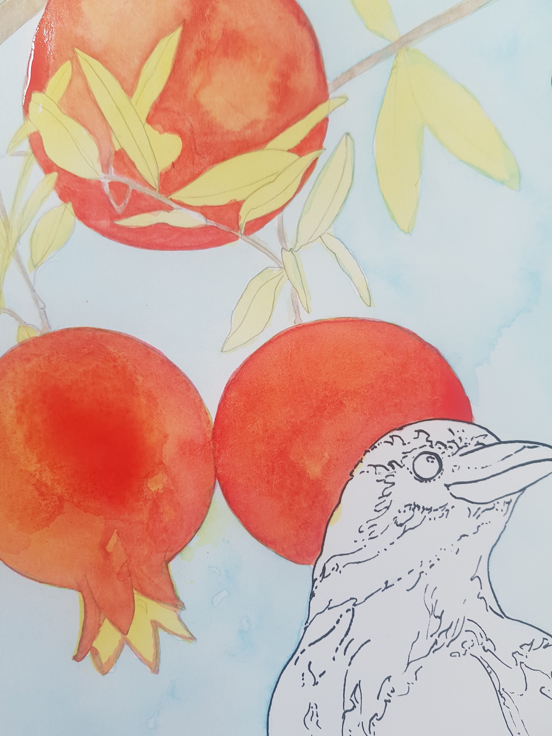 Using Watercolours for Illustration - Jackson's Art Blog