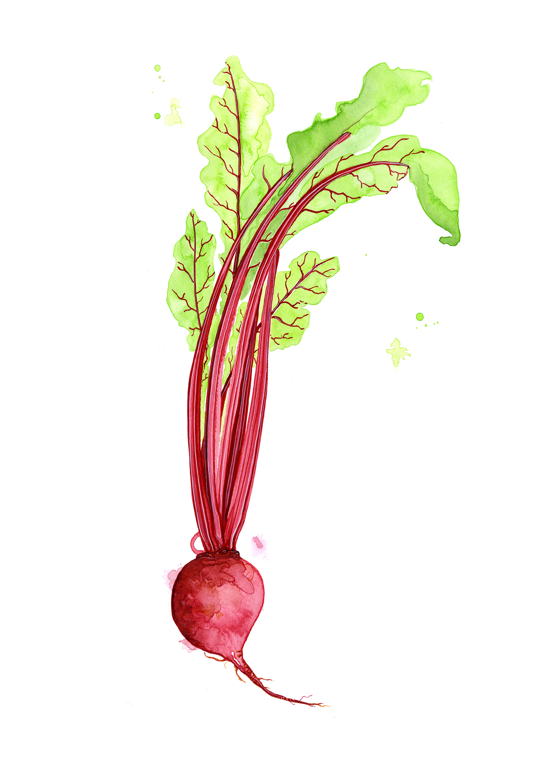 Using Watercolours for Illustration - Jackson's Art Blog