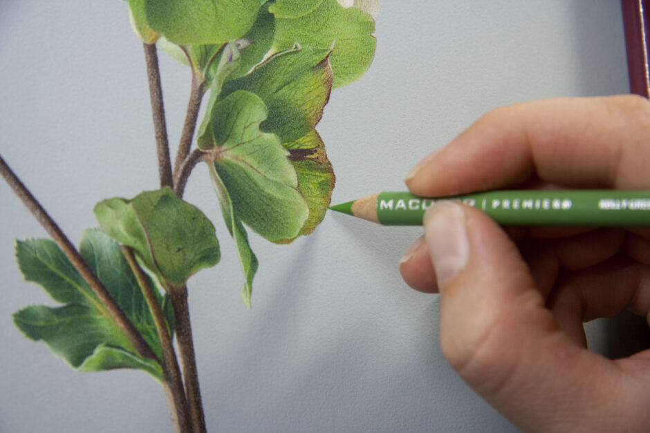 Megan Seiter: Creating Atmosphere with Light - Jackson's Art Blog