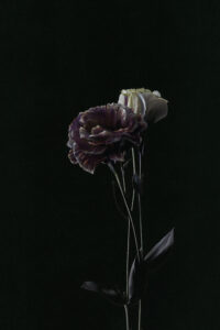 Megan Seiter: Creating Atmosphere with Light - Jackson's Art Blog