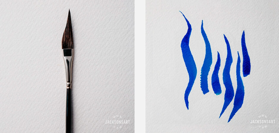 Understanding Brush Shape Names, Hair, and Applications - Jackson's Art ...