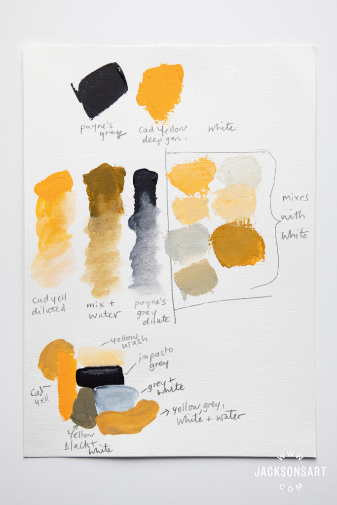 Colour Mixing: Warm Colour Palettes for Painting in Autumn - Jackson's ...