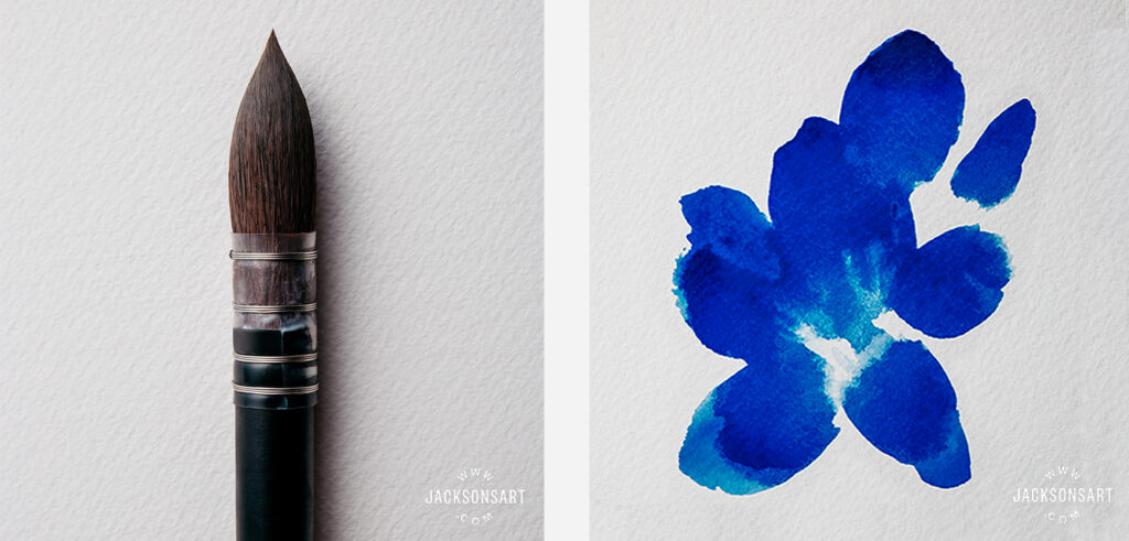 Understanding Brush Shape Names, Hair, and Applications - Jackson's Art ...