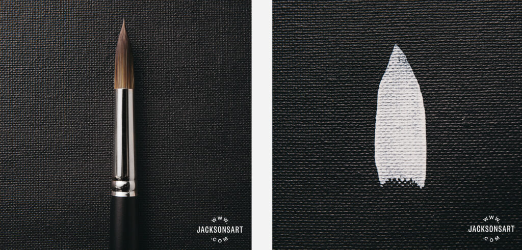 Understanding Brush Shape Names, Hair, and Applications - Jackson's Art ...