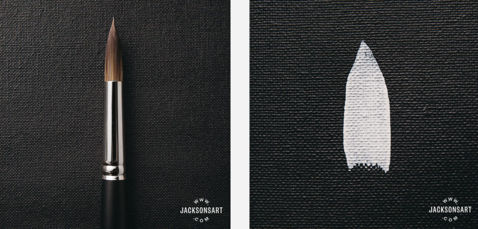 Understanding Brush Shape Names, Hair, and Applications - Jackson's Art ...