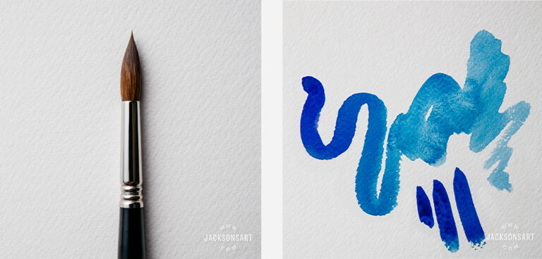 Understanding Brush Shape Names, Hair, and Applications - Jackson's Art ...