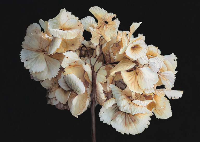 Vivienne Rew: Botanical Structures - Jackson's Art Blog