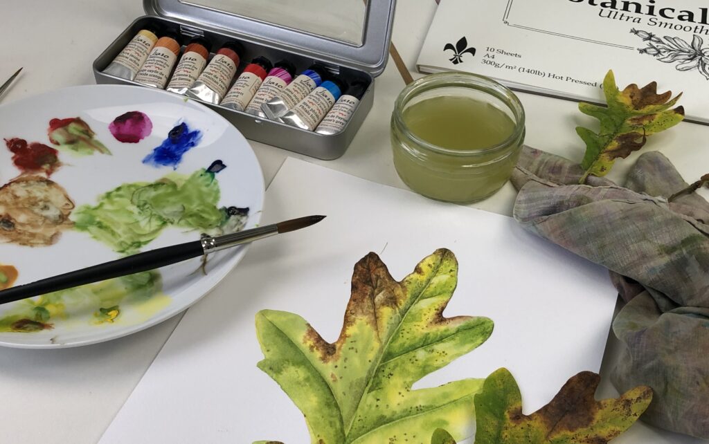 Jackson's Curated Sets for Botanical Watercolour, Lino Printmaking and ...