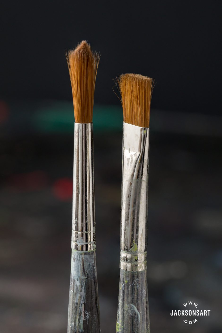 Da Vinci Colineo Brushes Reviewed After Six Months of Painting - Jackson's Art Blog