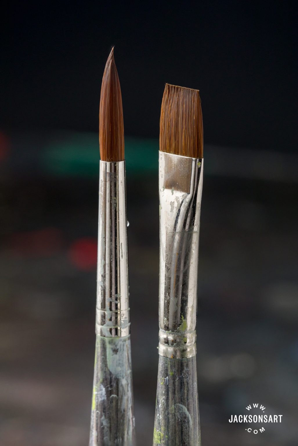 Da Vinci Colineo Brushes Reviewed After Six Months of Painting ...