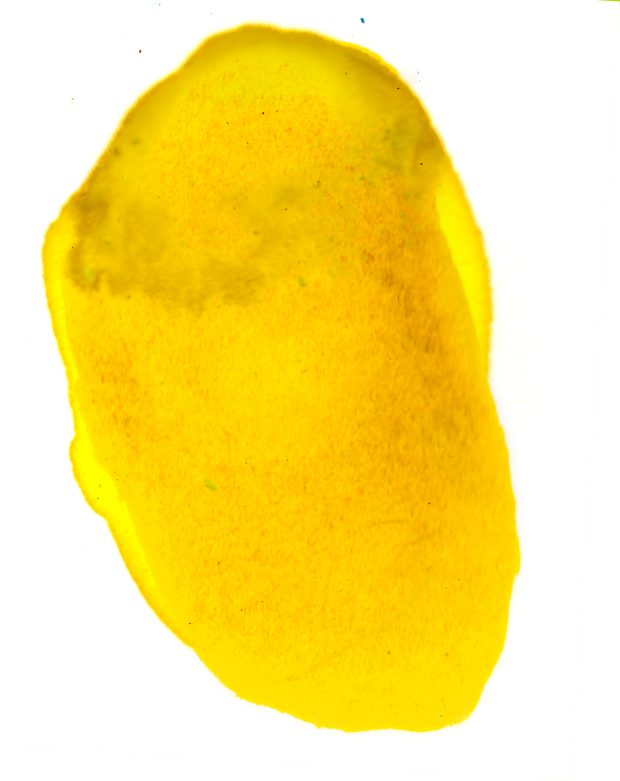 Making Natural Ink: The Process and Recipe for Yellow Ink - Jackson's ...