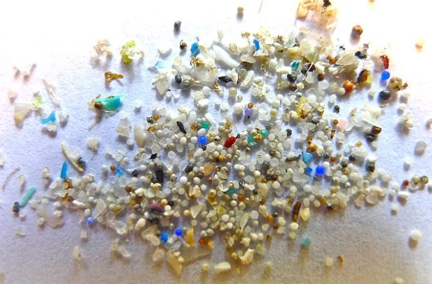 Acrylic Painting, Microplastics, and the Environment - Jackson's Art Blog