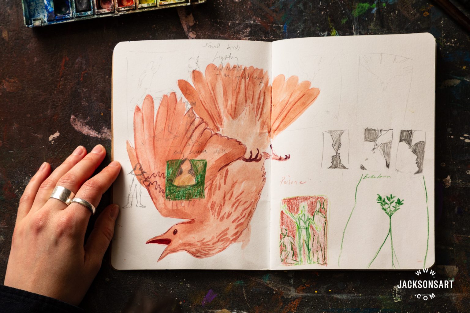 Inside the Sketchbook of Xanthe Burdett - Jackson's Art Blog