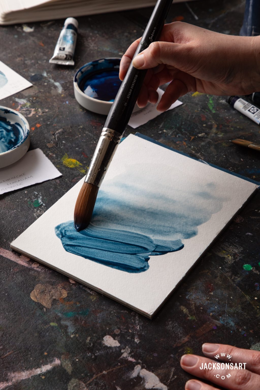 Indigo: The Story of Blue Gold - Jackson's Art Blog