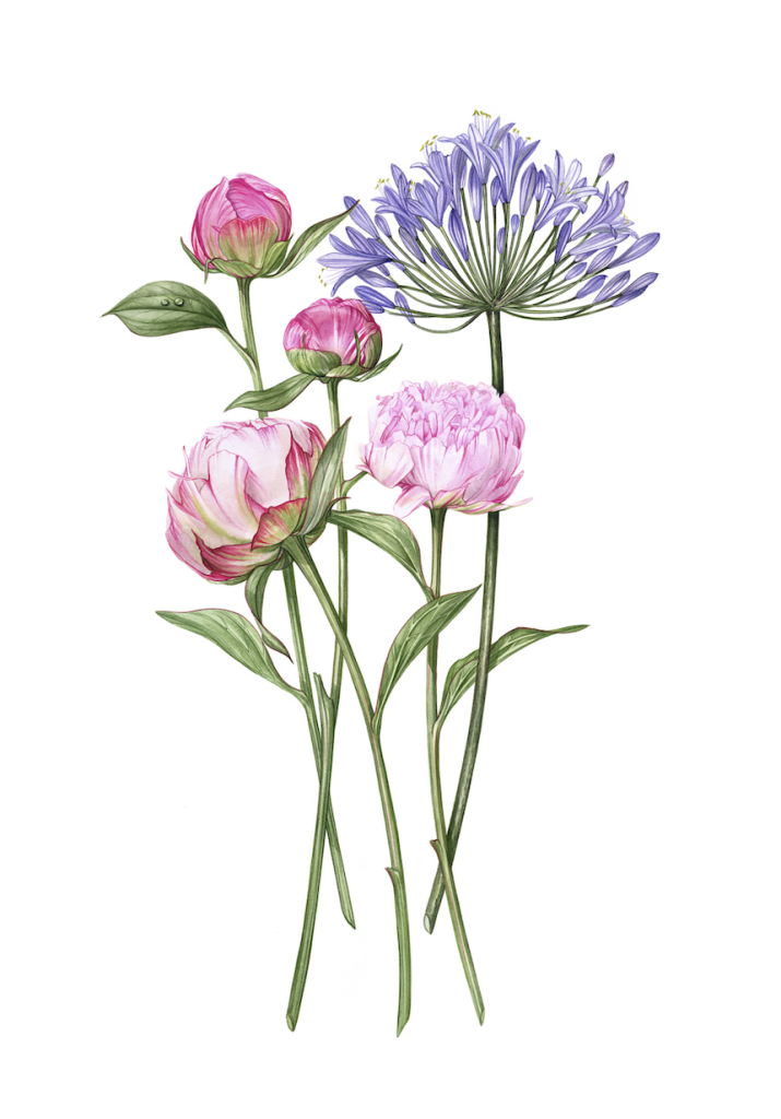 Artist Insights: Billy Showell - Jackson's Art Blog