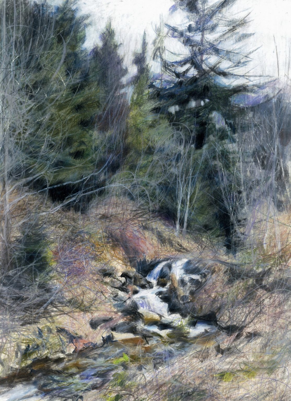 Olga Babich: Drawing Home - Jackson's Art Blog
