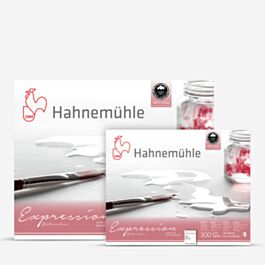 Hahnemuhle : Expression : Watercolour Block | Jackson's Art