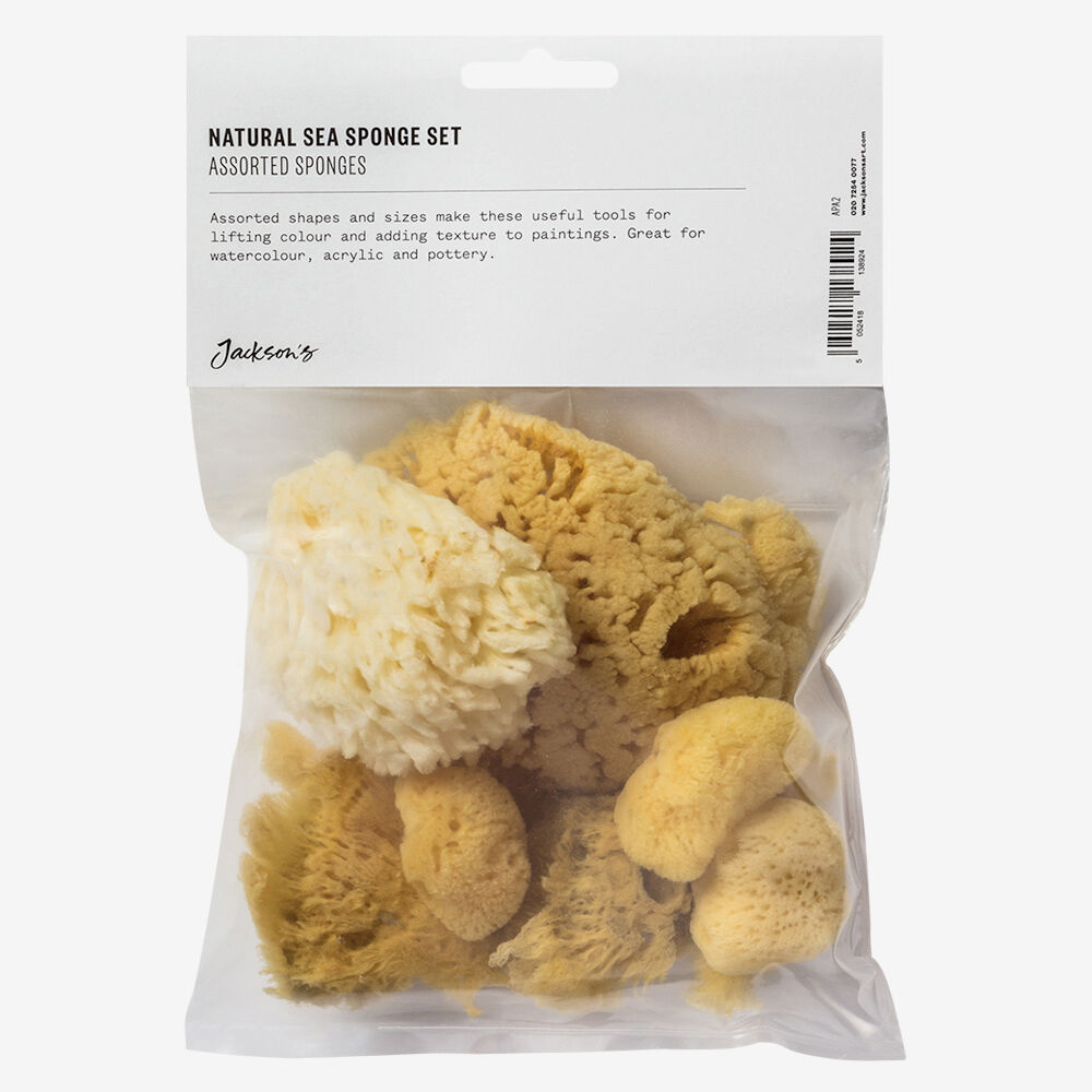 Jackson's : Large Assorted Sponge Bag | Jackson's Art