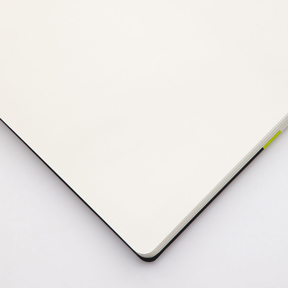 Moleskine : Classic Notebook : Hard Cover : Plain Paper : Large : 13 x ...