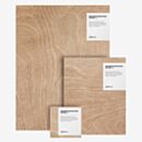 Jackson's : 5mm MDF Painting Panels : Pack Of 5 | Jackson's Art