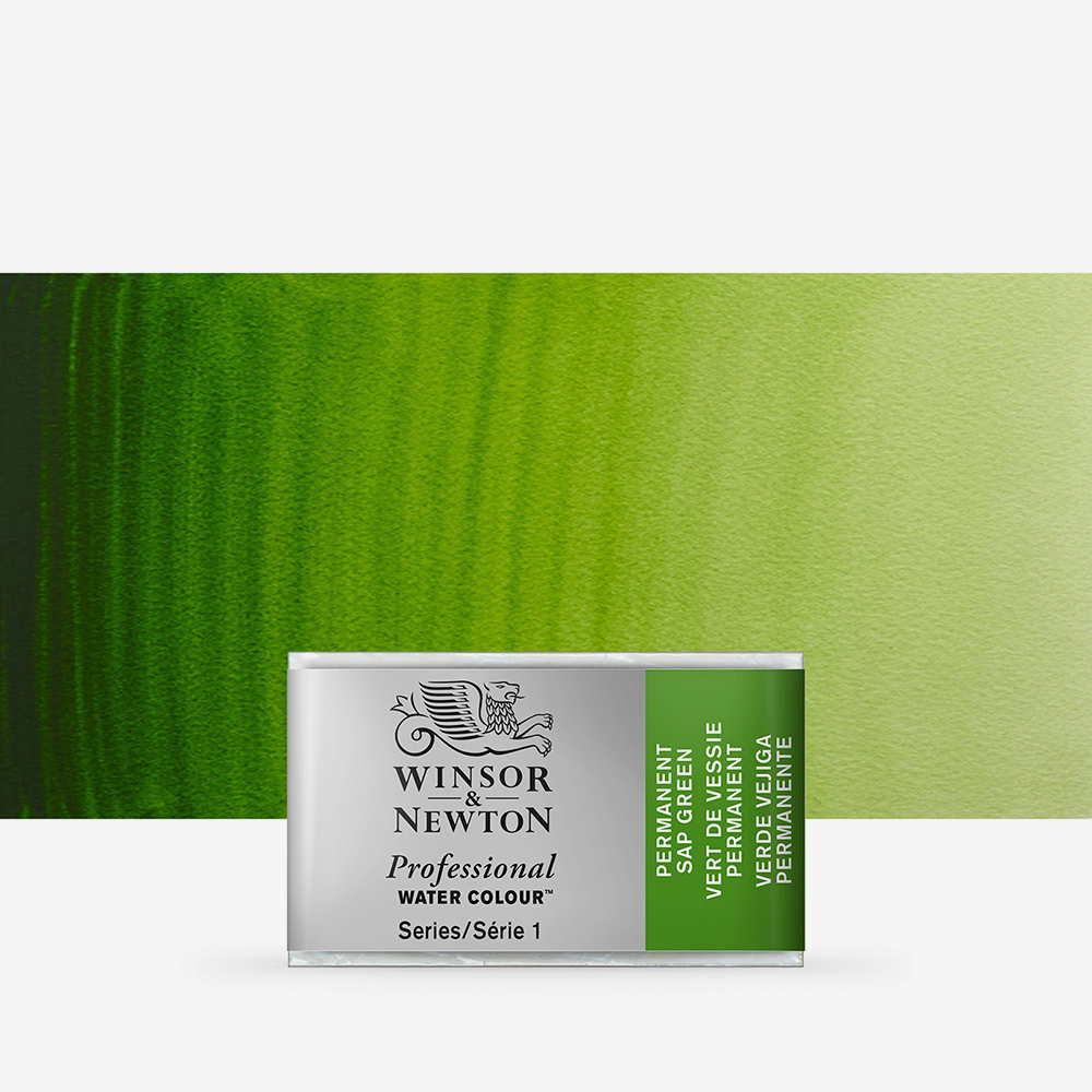 Winsor & Newton : Professional Watercolour Paint : Full Pan : Permanent ...