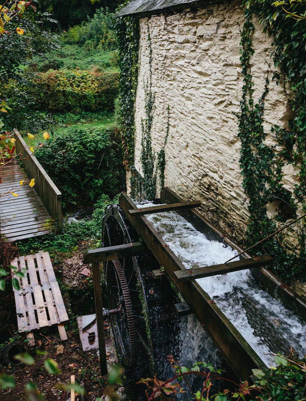 Brand Story - Behind the Brand Two Rivers Paper Company | Jackson's Art