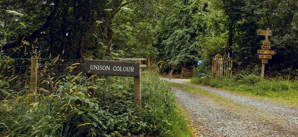Behind The Brand Unison Colour | Jackson's Art | Jackson's Art